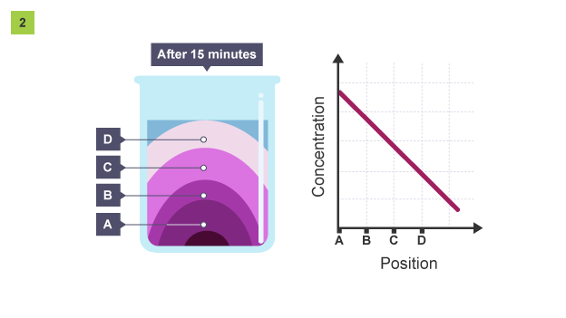 Concentration Gradient Graph